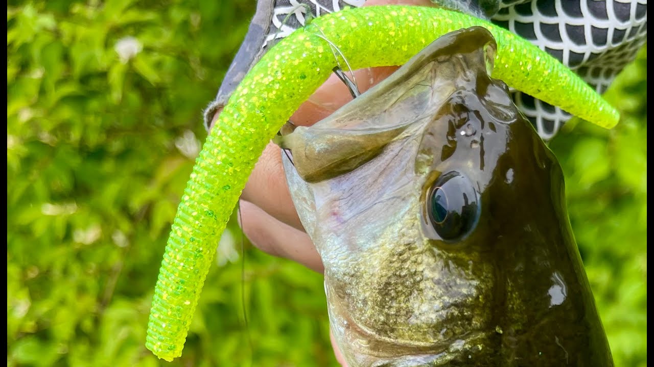 Wacky bass! This actually IS fun! - YouTube