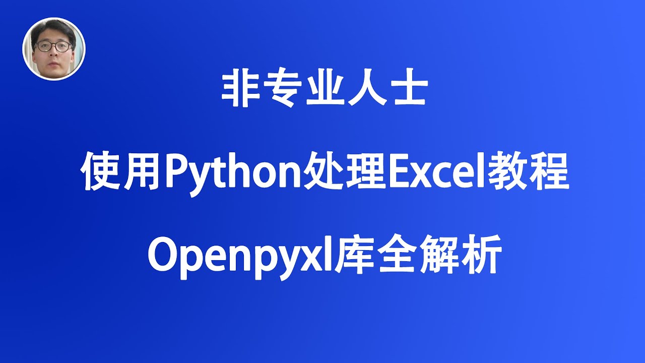 程序员小飞 非专业人士使用python处理excel教程——openpyxl全解析（2020年） Youtube 8367