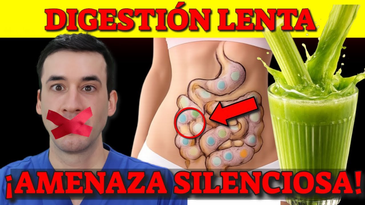 DIGESTIÓN LENTA, GASES y PEDOS e HINCHAZÓN| MEJORA TU DIGESTIÓN SIN ...