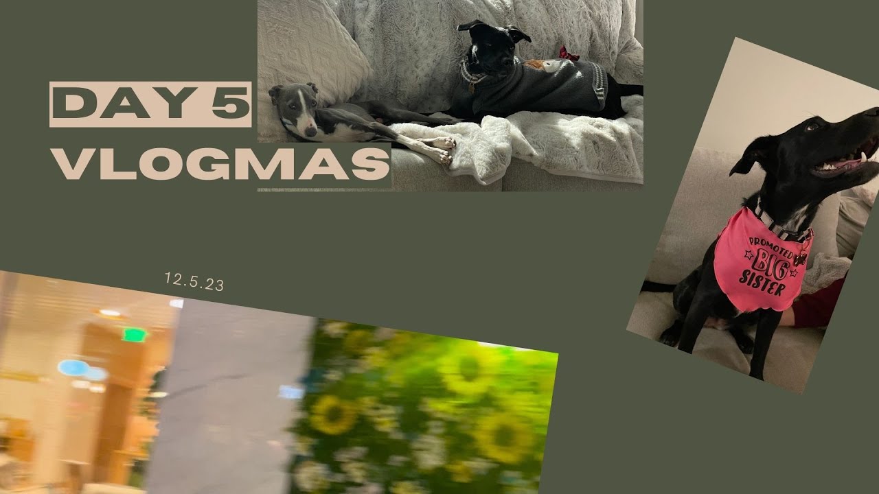 VLOGMAS DAY 5 | the day we met... - YouTube