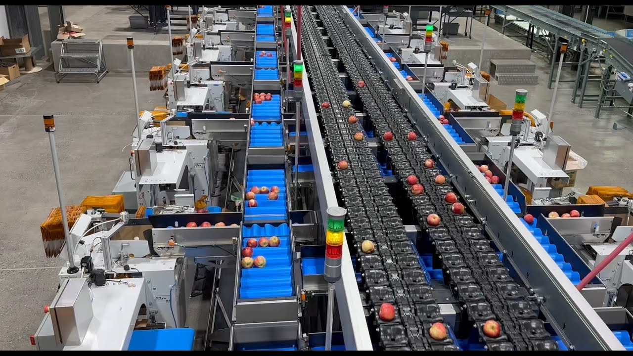 Automated Pouch Bagging System with Integrated Check Weigher - YouTube