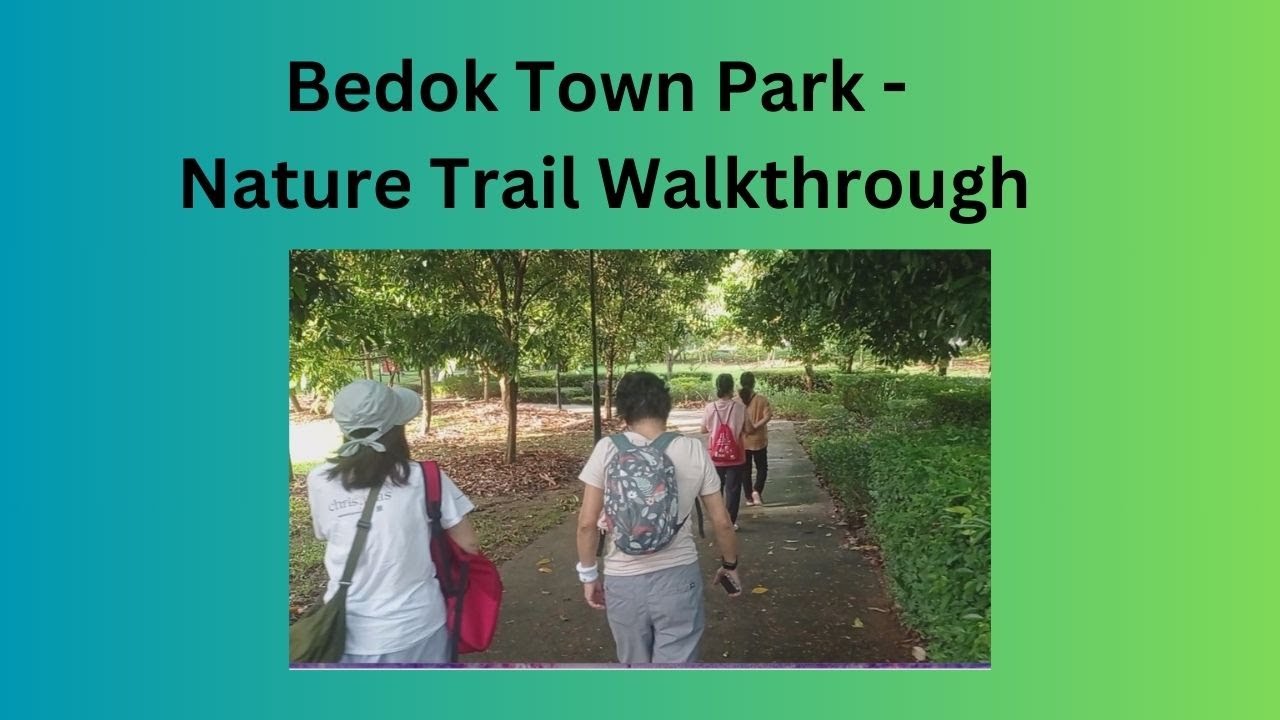 Bedok Town Park - Nature Trail Walkthrough - YouTube