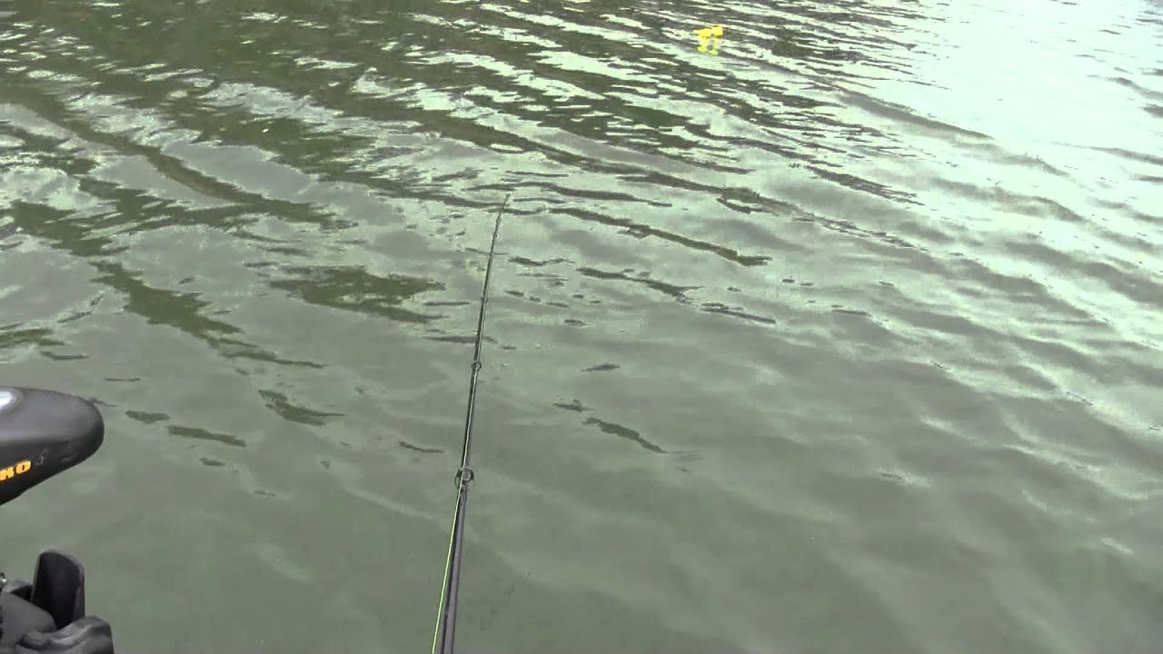 Melvern Kansas Spider Rigging a Brush Pile - YouTube