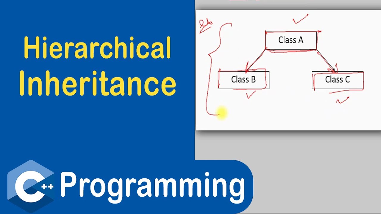 90 Hierarchical Inheritance In C Inheritance In C Youtube