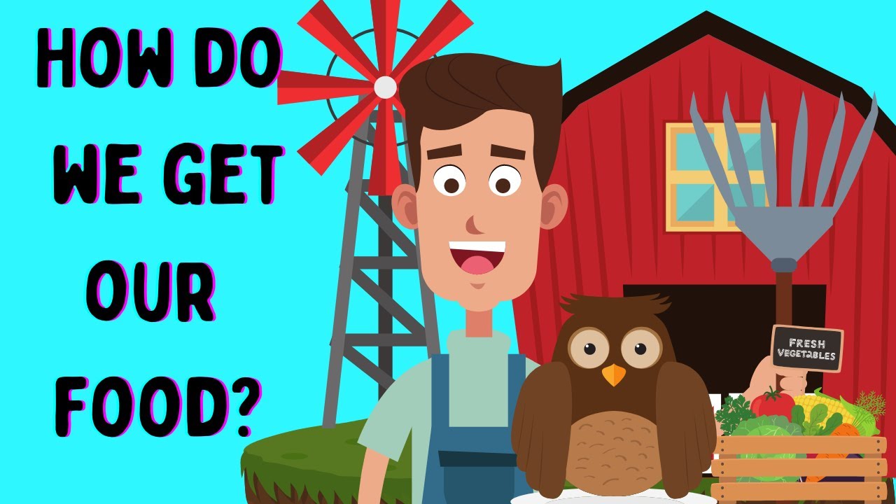 How Do We Get Our Food? - YouTube