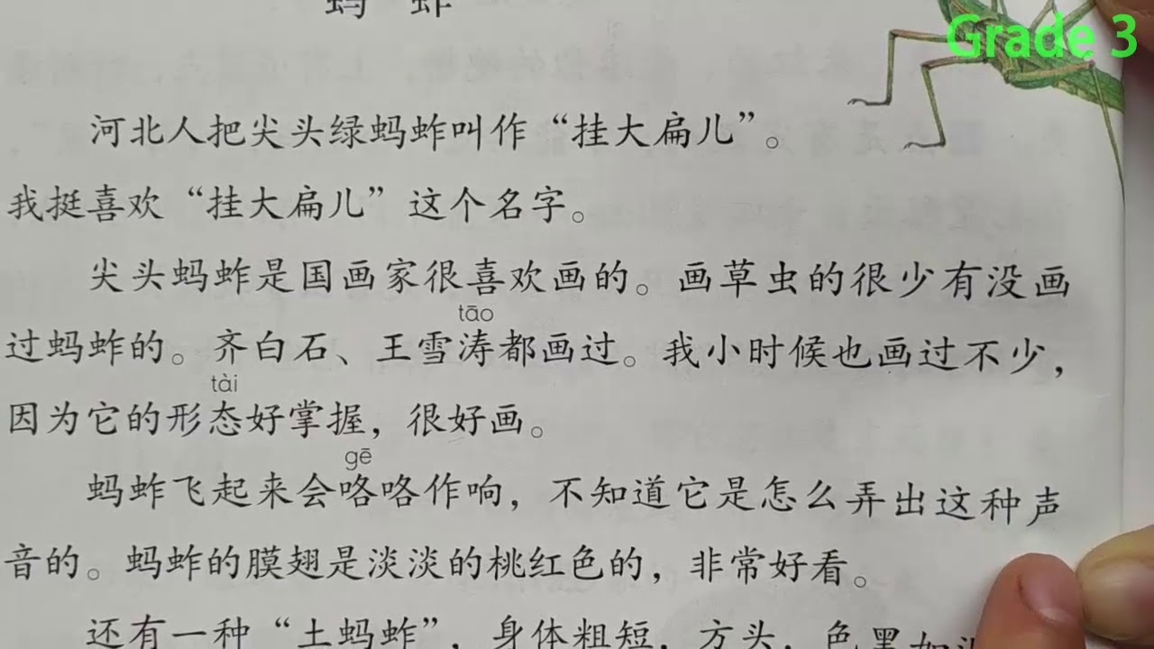 Learn beginner Chinese lesson34 reading中国孩子学中文 Grade3 - YouTube
