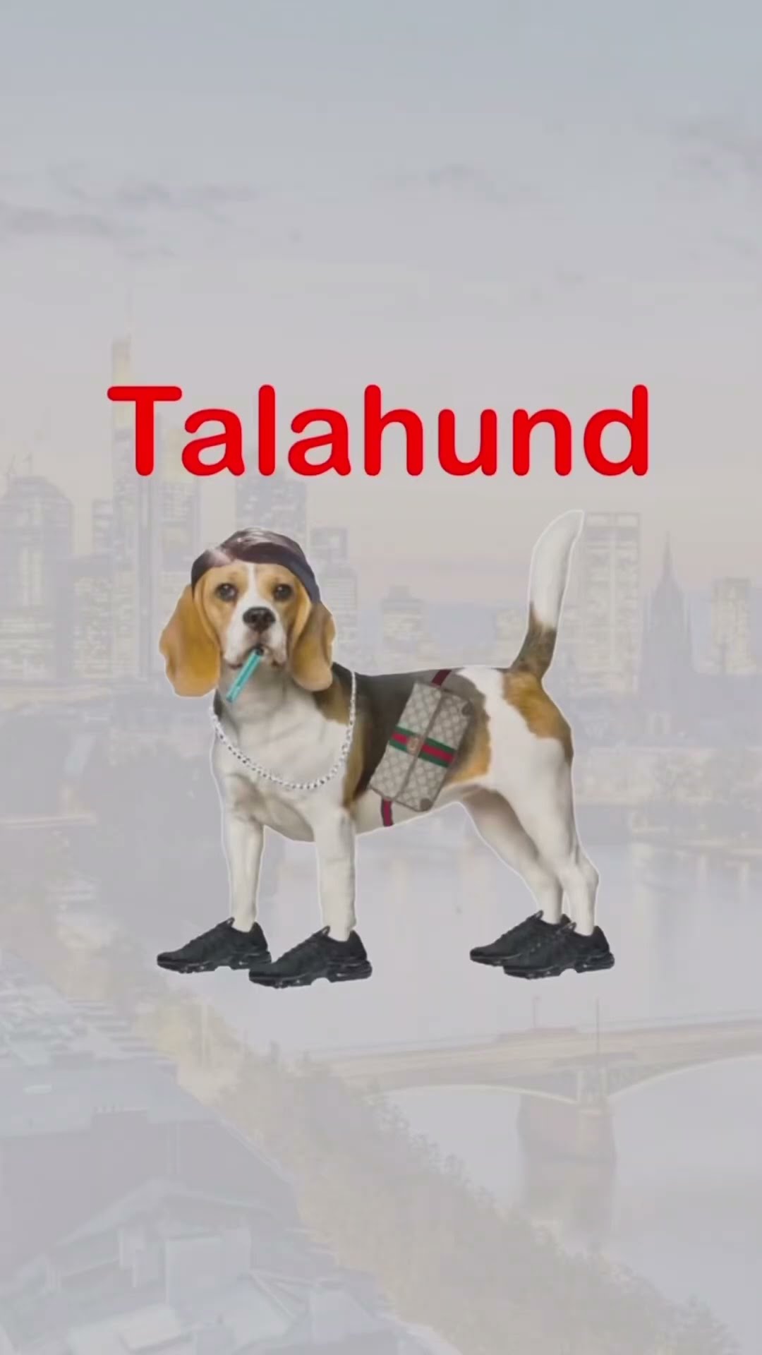 Talahon - Talahund #shorts #talahon #talahund - YouTube