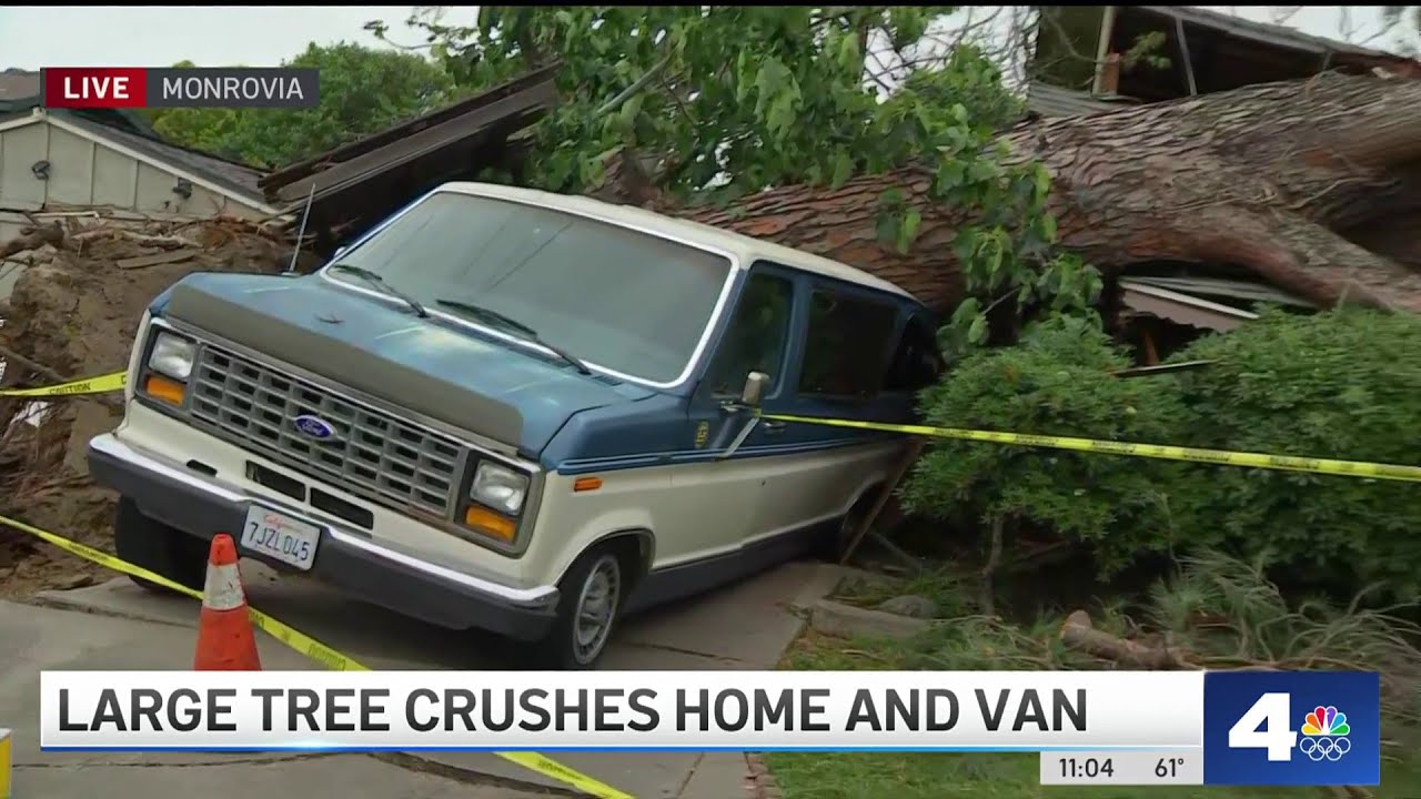 Large tree falls in Monrovia, crushing home and van - YouTube