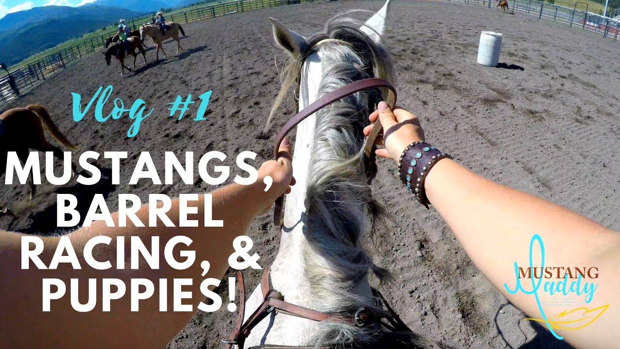 Mustangs, Barrel Racing, & Puppies // MM VLOG #1 - YouTube