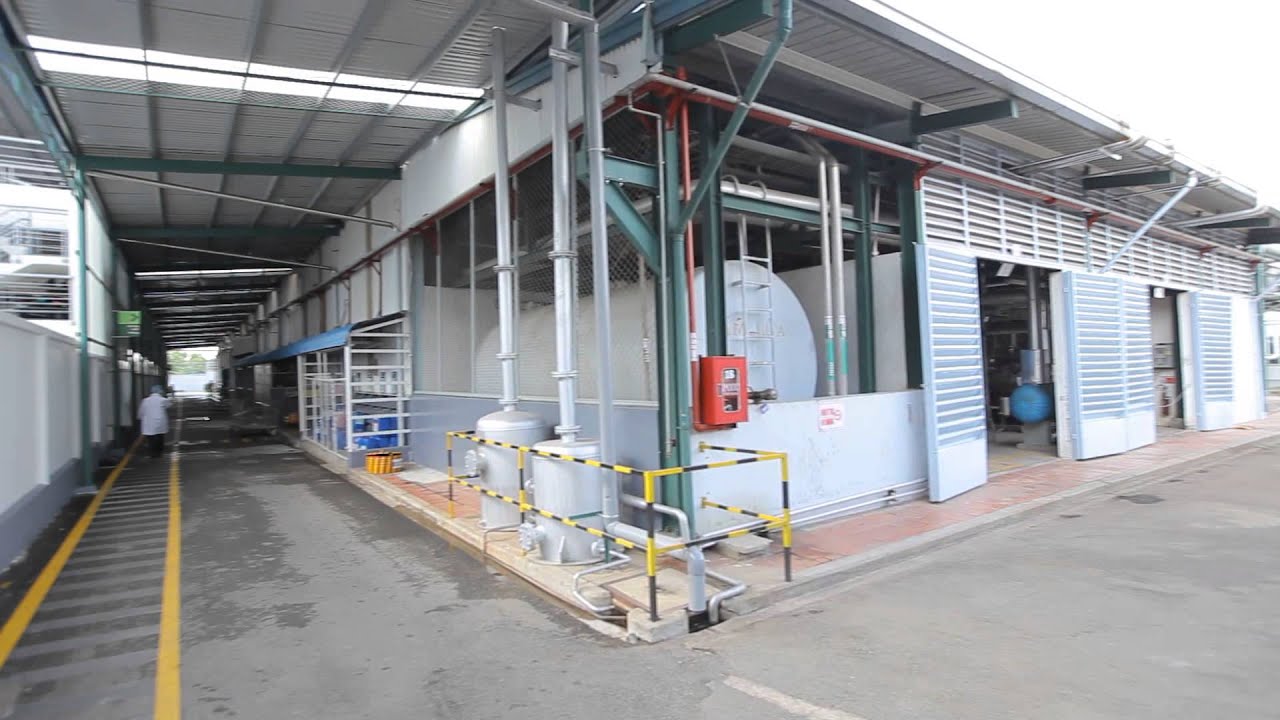 thăm nhà máy sản xuất Milo - Milo factory - YouTube