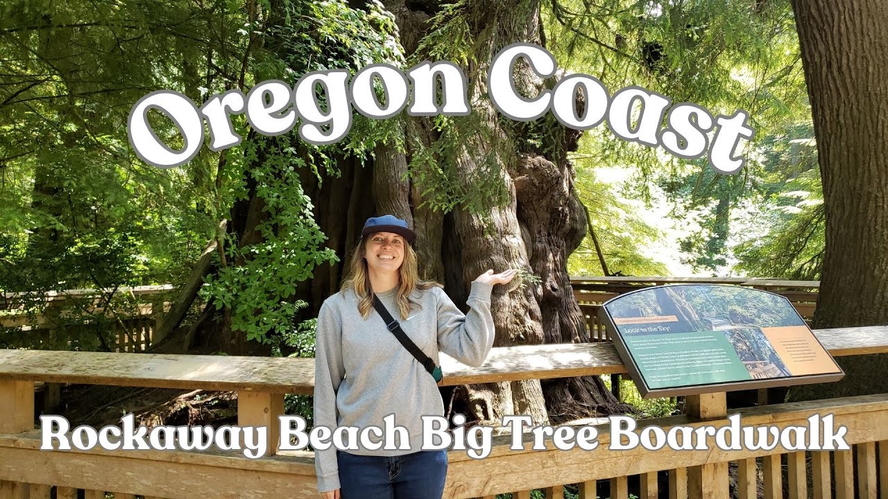 Rockaway Beach Big Tree Boardwalk - YouTube