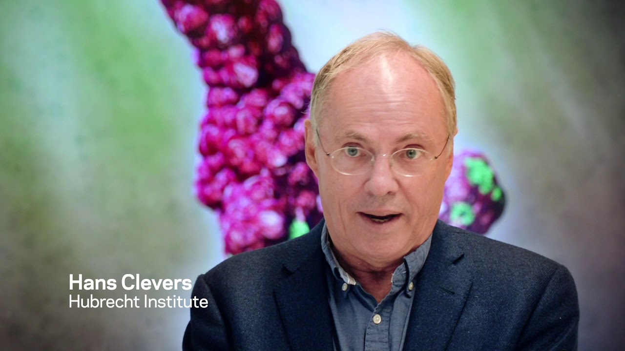 Hans Clevers - Studying immune cells and cancer using organoids (mini ...