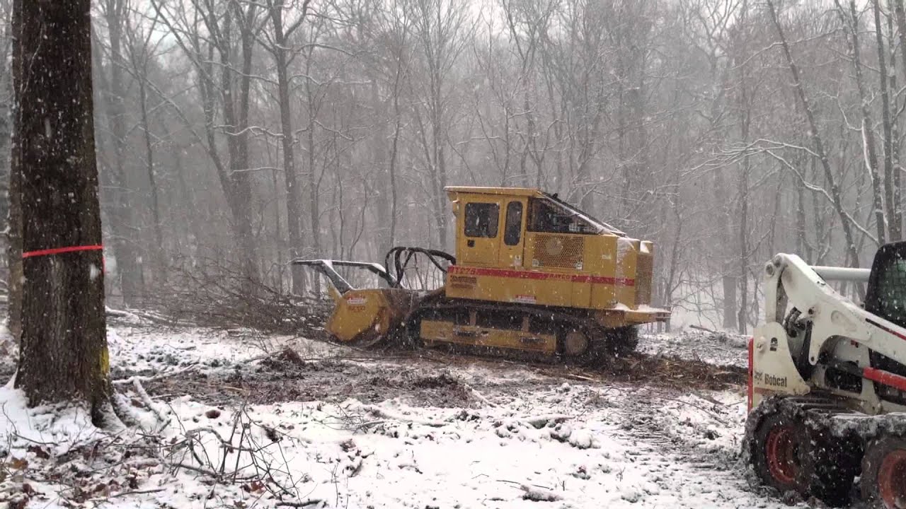 The machine that eats trees for breakfast - YouTube