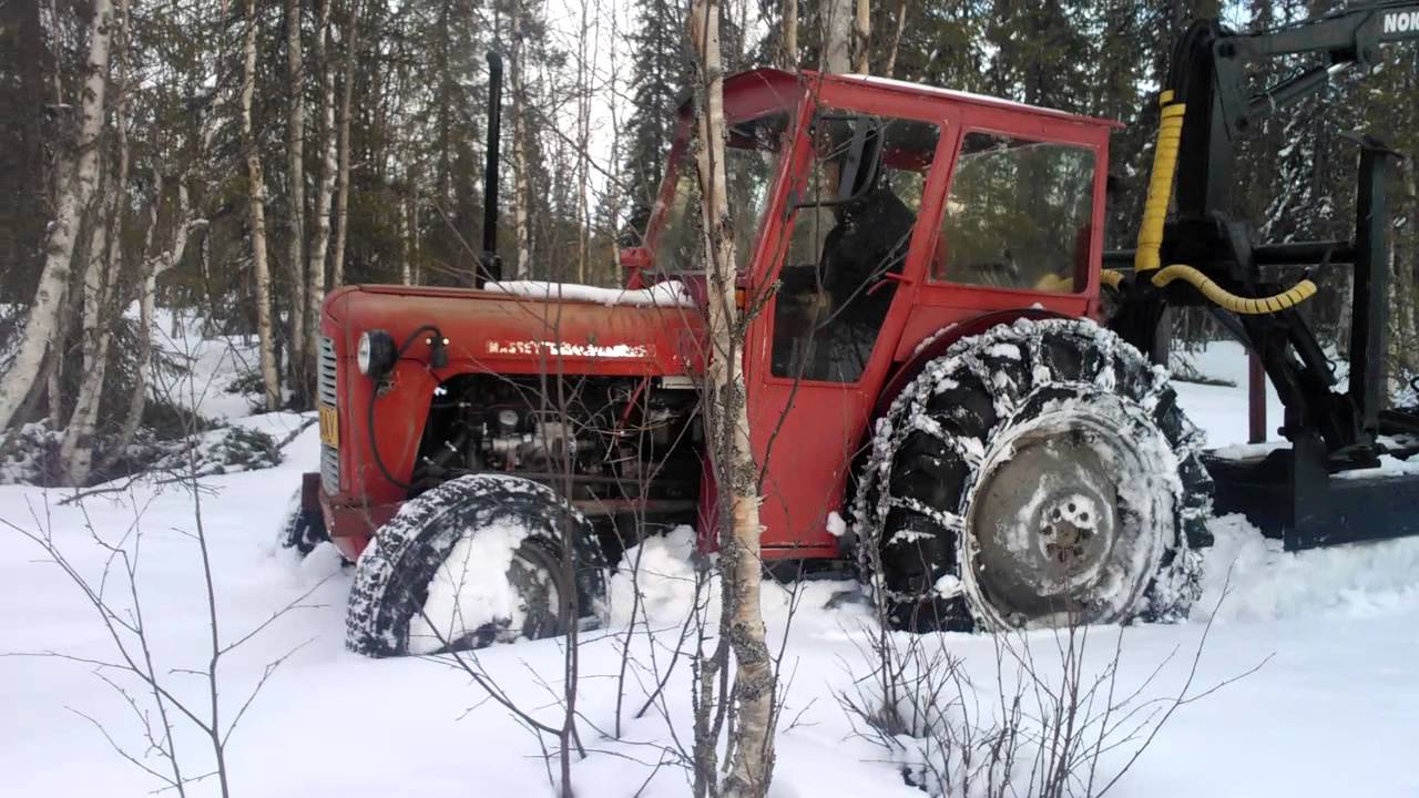 Massey Ferguson 35 in forest - YouTube