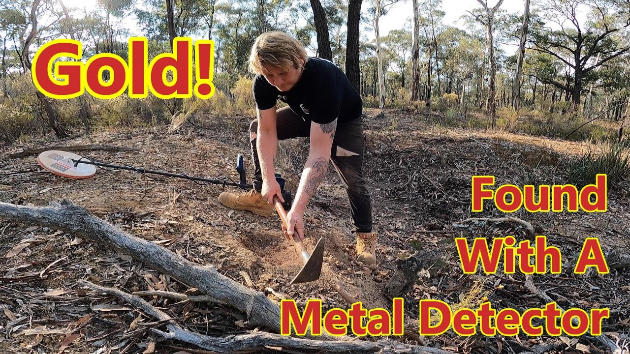 Prospecting Pays Off! 5 Gold Finds in a Fresh Location - YouTube