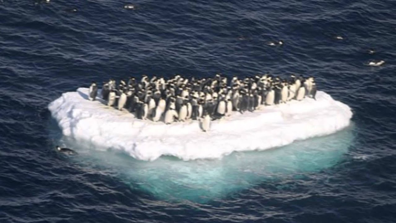 What problems does Antarctica face? - YouTube