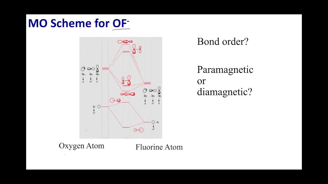Section 14.4 - YouTube