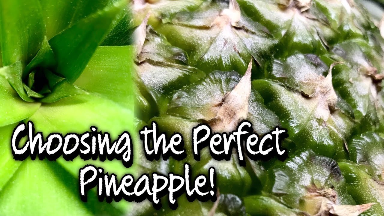How to: Picking or choosing the perfect Pineapple: Underripe or ...