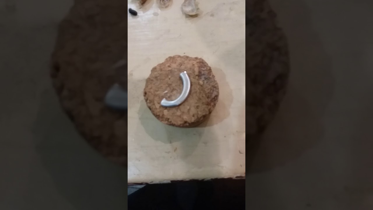 World's smallest shell series 2 - YouTube