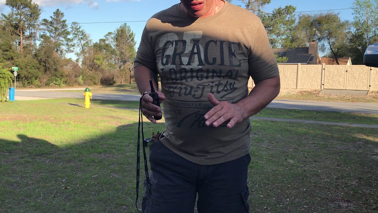 Chase training down, sit and place. - YouTube