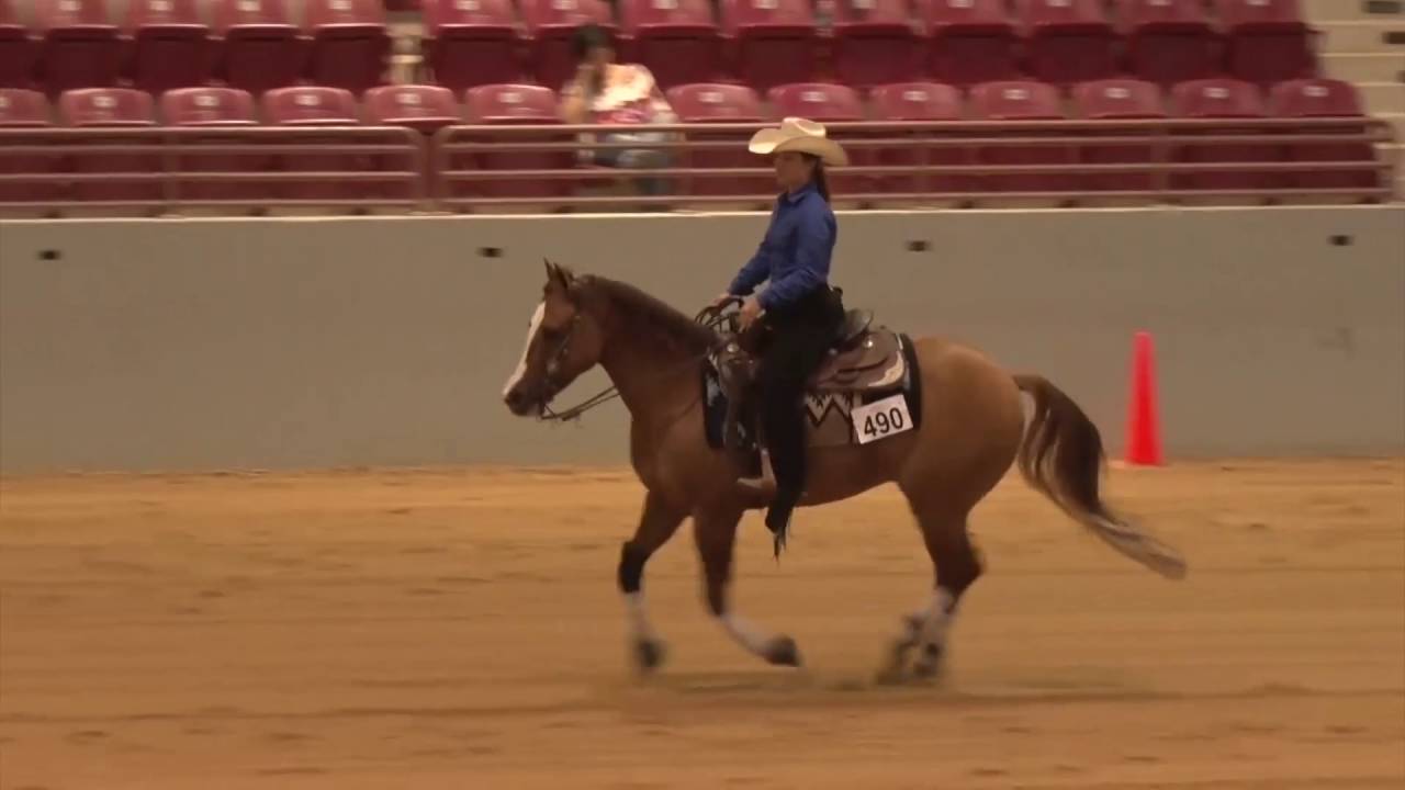 160521 Taylor Staton on The Seven Of Diamonds NRHA Green - YouTube