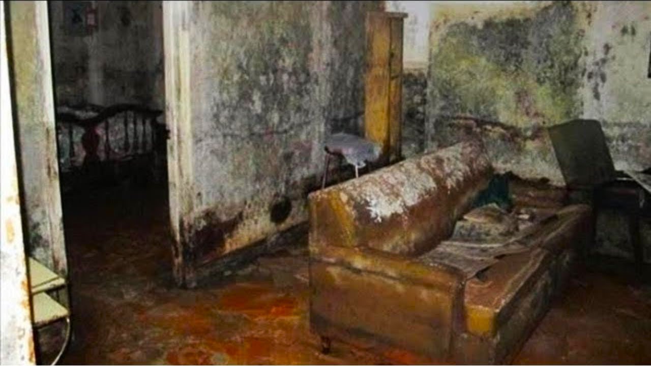 Clean up the dirty yard and old house | Cleaning Motivation | enjoy it ...