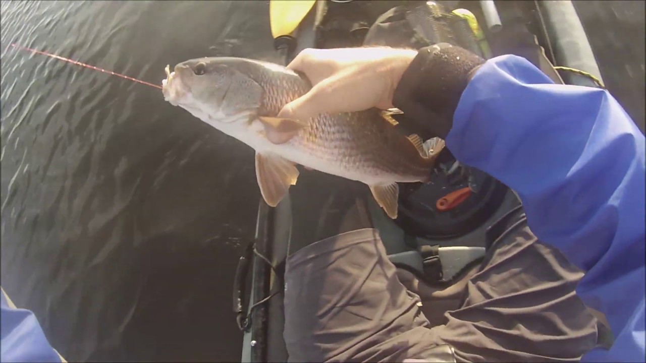 New Bait and Fishing Spot - YouTube