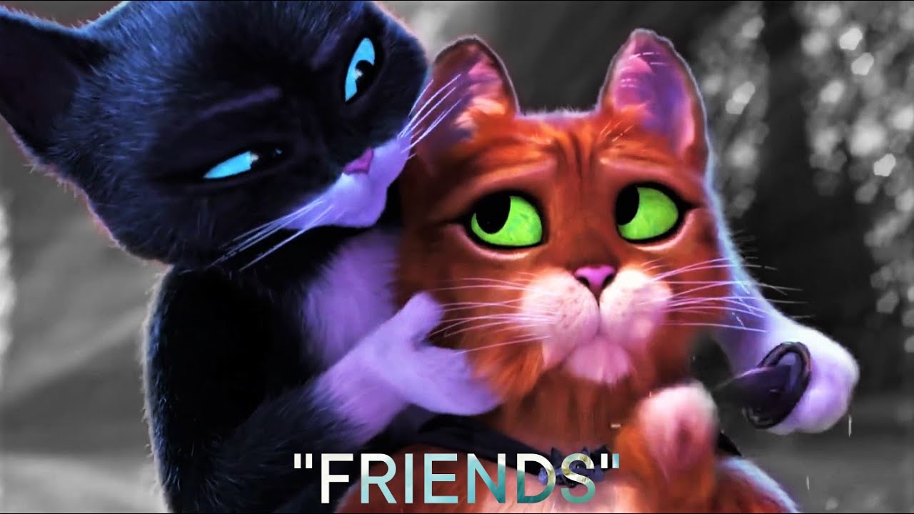 FRIENDS - Puss in Boots (edit/animash) - YouTube