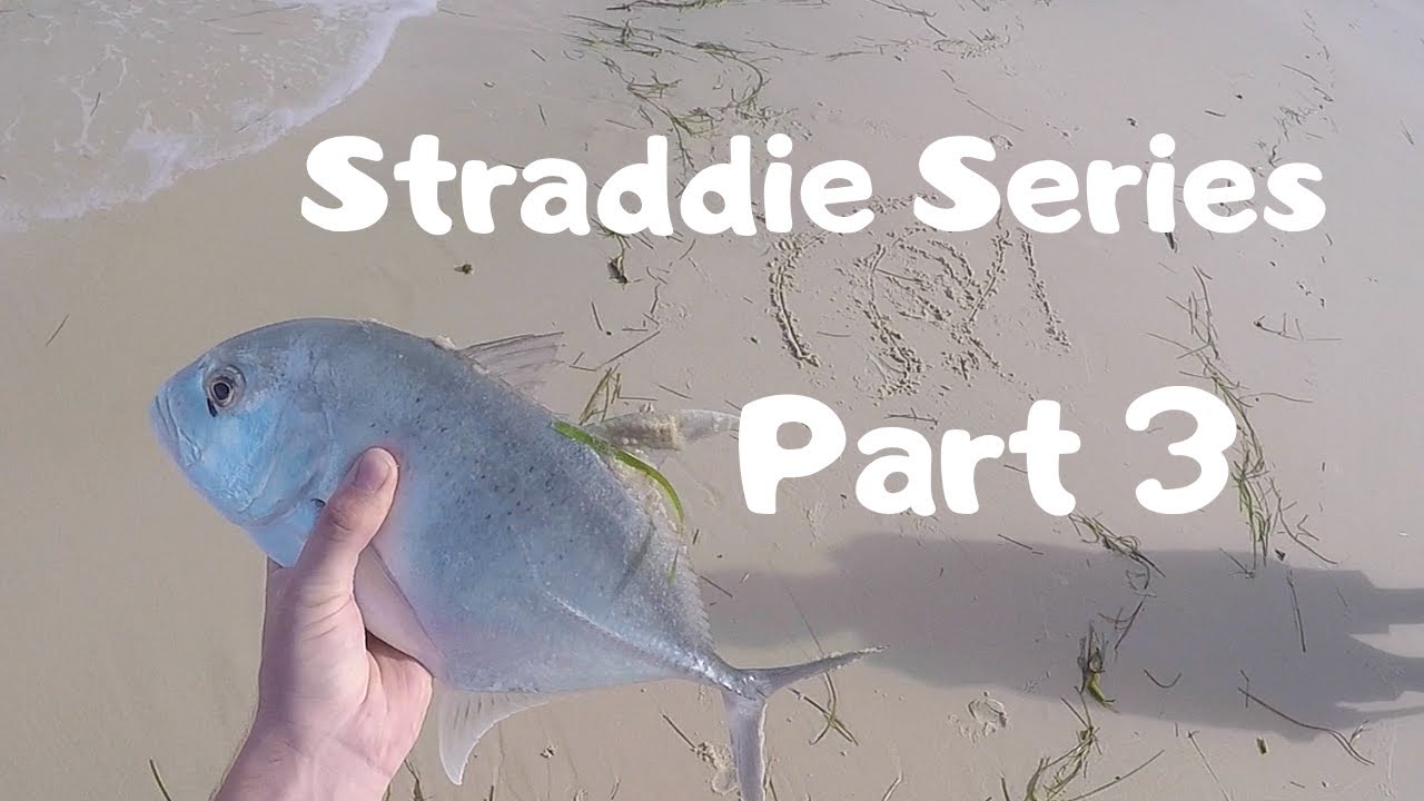 Straddie Series Episode 3 - Jumpinpin Flathead, Trevally and Topwater ...