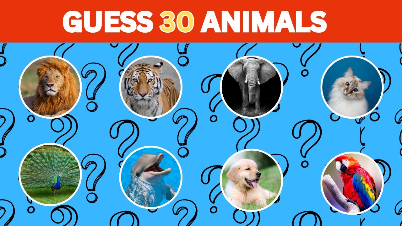 Guess 30 ANIMALS...! 🐶🐱 | Guess The Animal in 5 Seconds - YouTube
