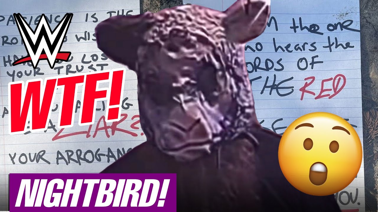 NIGHTBIRD! NEW ROWAN MASK! NEW QR CODE UPDATE! NEW MUSIC! LATEST UNCLE ...