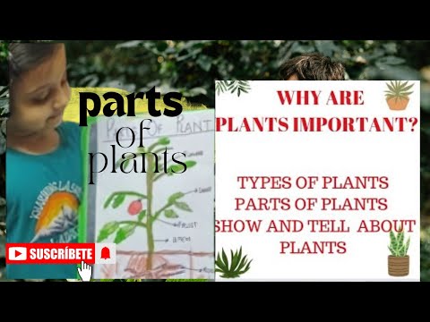 Parts of plants | types of plants | Save tree l Show and Tell activity ...