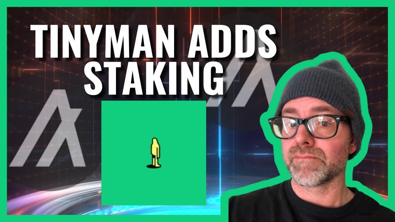 Algorand news today: Tinyman adds staking program - YouTube