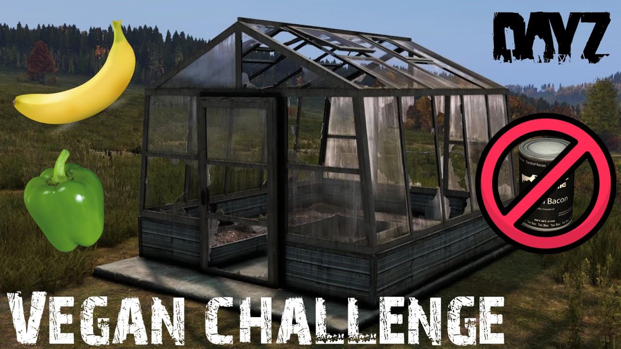 DayZ: Vegan Diet Challenge - YouTube