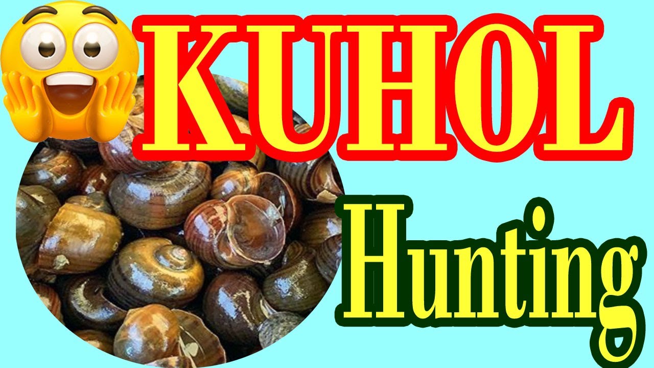 "KUHOL HUNTING " Exotic and Unusual Filipino Dish found in rice field ...