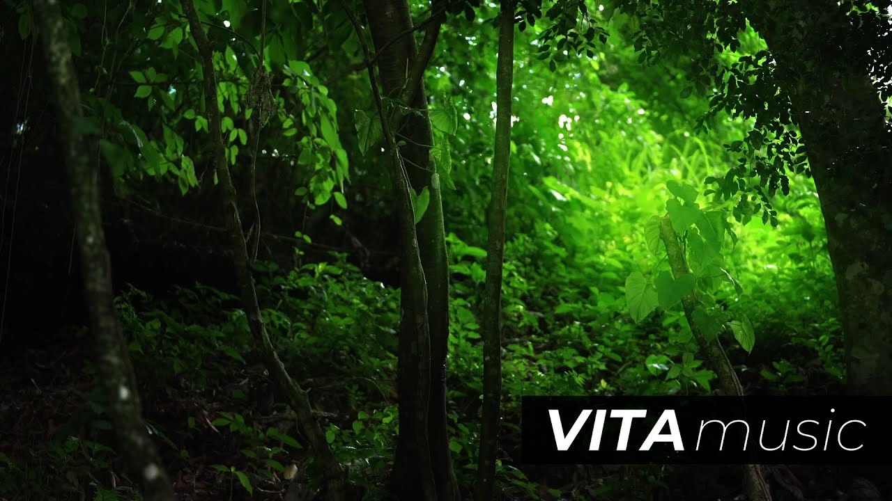 Smooth: Soothing Melodies for Relax Your Mind, Meditation and Stress ...