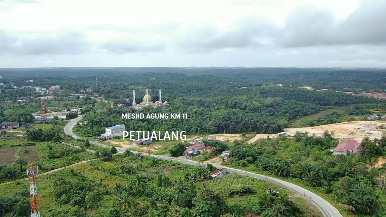 VIRAL‼️Hamparan kebun sawit desa Perawang barat - YouTube