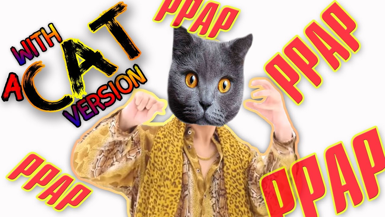 PPAP CAT SHIT VERSION - YouTube