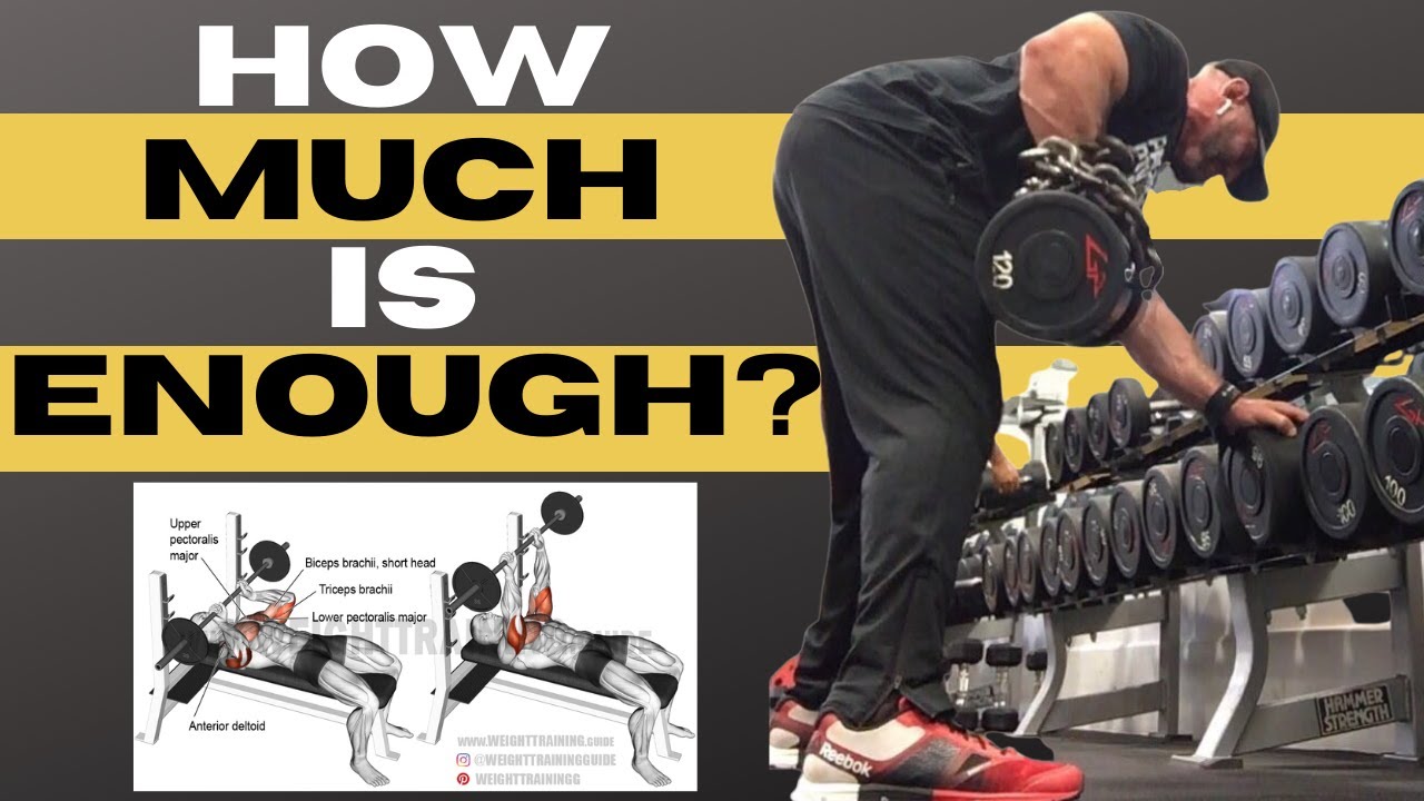 How Many TOTAL EXERCISES Are Ideal For Muscle Growth (without) STEROIDS ...