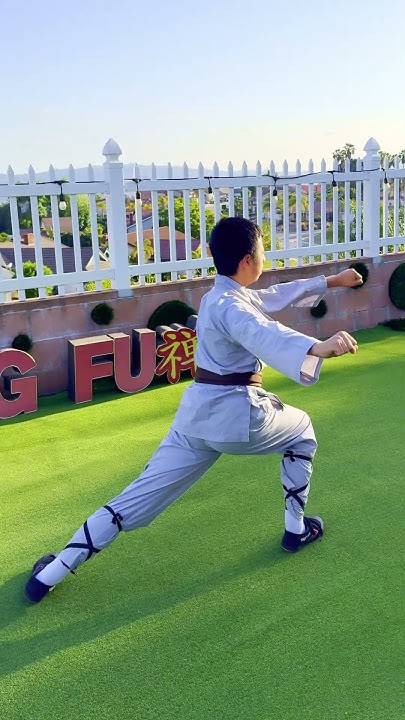 😱 Shaolin Kung Fu Pao Quan Demonstration 💥3 #炮拳 #少林功夫 #拳法 表演 示範 Cannon Fist Performance show # ...