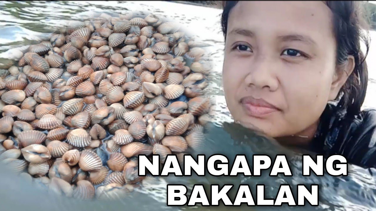 UNANG SUBOK MANGAPA NG BAKALAN (SOME KIND OF SHELL..)|PANISIJAN,USON ...