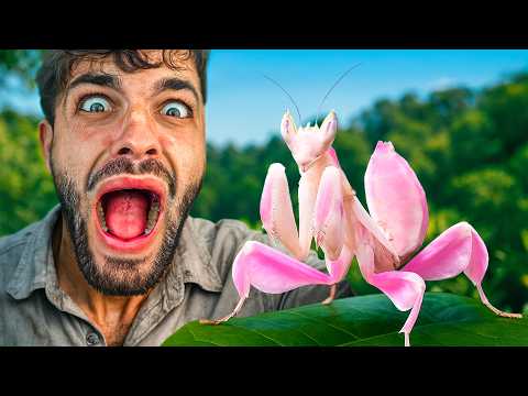 Dünyanın EN GÜZEL HAYVANI!? - Üçleme 1/3