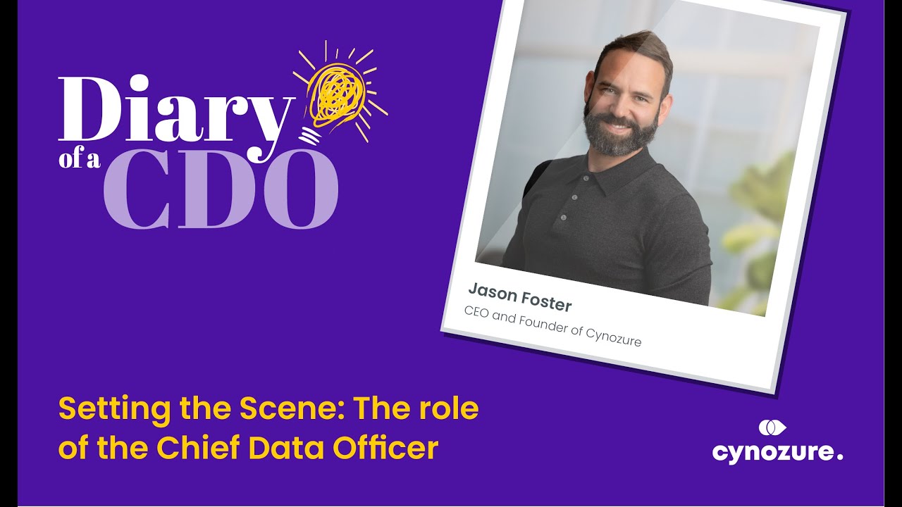 Diary of a CDO - Setting the Scene: The role of the Chief Data Officer ...