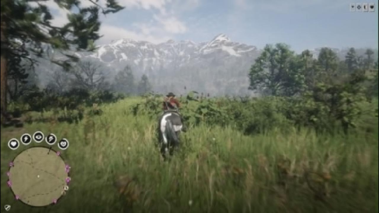 Red Dead Redemption 2 Online - Best Northern Pike Location - YouTube