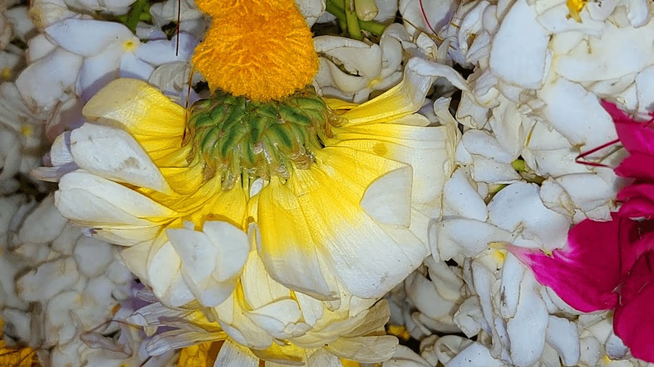 SEHRA BANDI. 15 SHABAN - YouTube