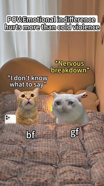 CAT MEMES🐱Emotional indifference hurts more than cold violence # ...