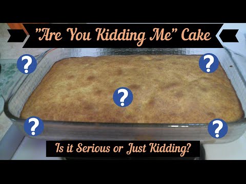 Making & Tasting the "Are You Kidding Me?" Cake. Is it REALLY Good or ...
