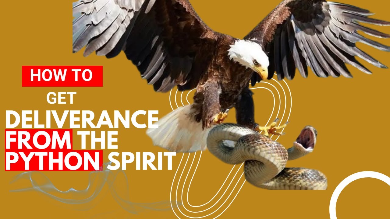 Breaking Free From The Spirit Of Python- Deliverance From Demons That ...