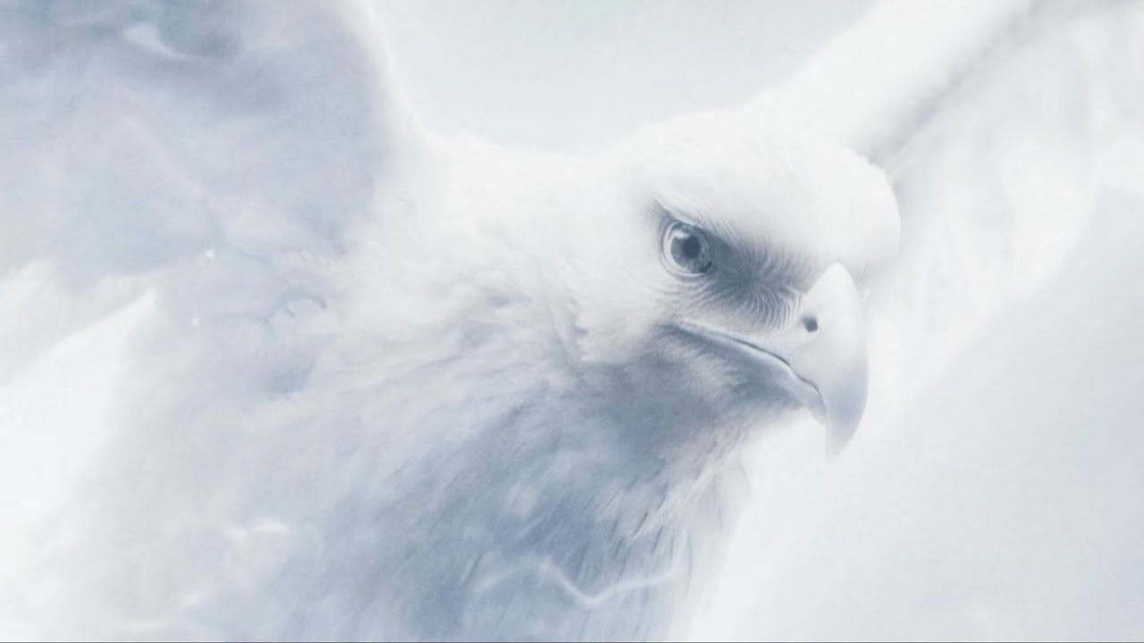 Inside the Traveler White Bird Cutscene Destiny 2 - YouTube