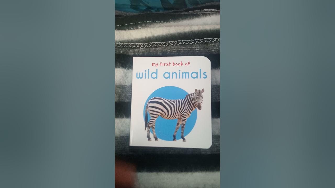 my first Book of wild animals - YouTube